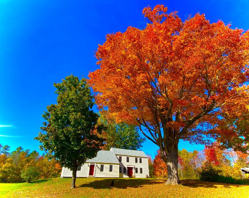 Do Not Book!, Buxton (updated prices 2025)