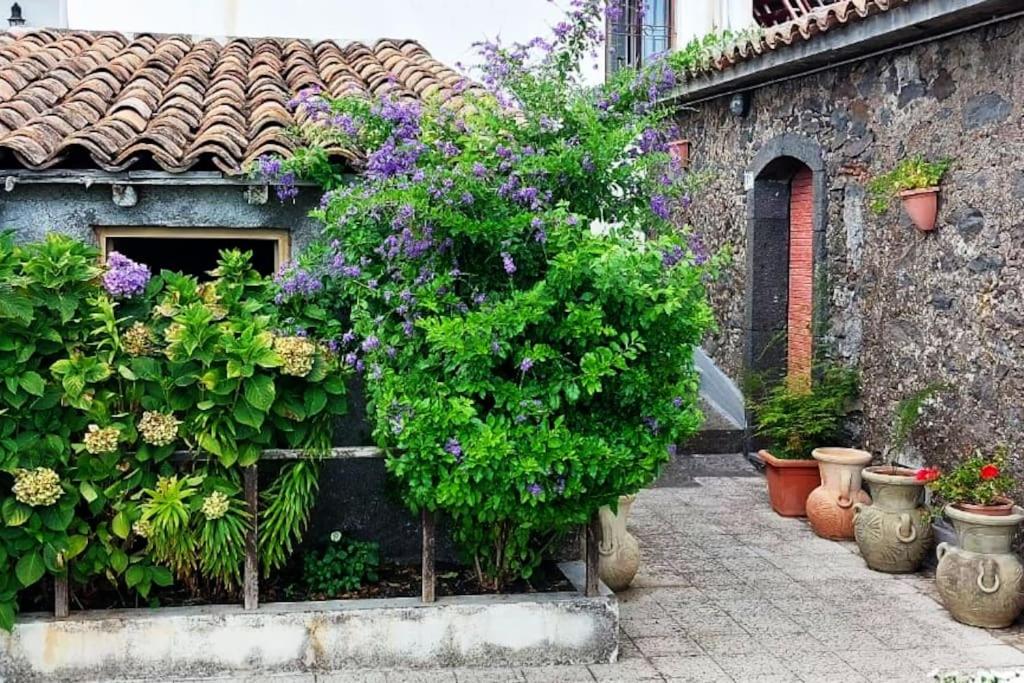 Casa Leopina Apri gli occhi e vola oltre il mare, SantʼAlfio (updated ...