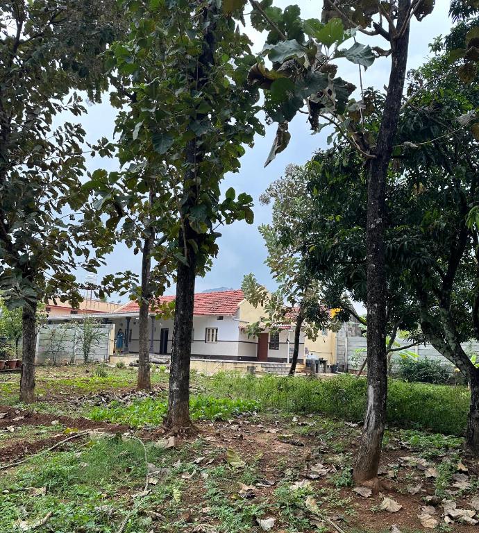Rustic Village Home with Farm, Bangalore – Updated 2023 Prices