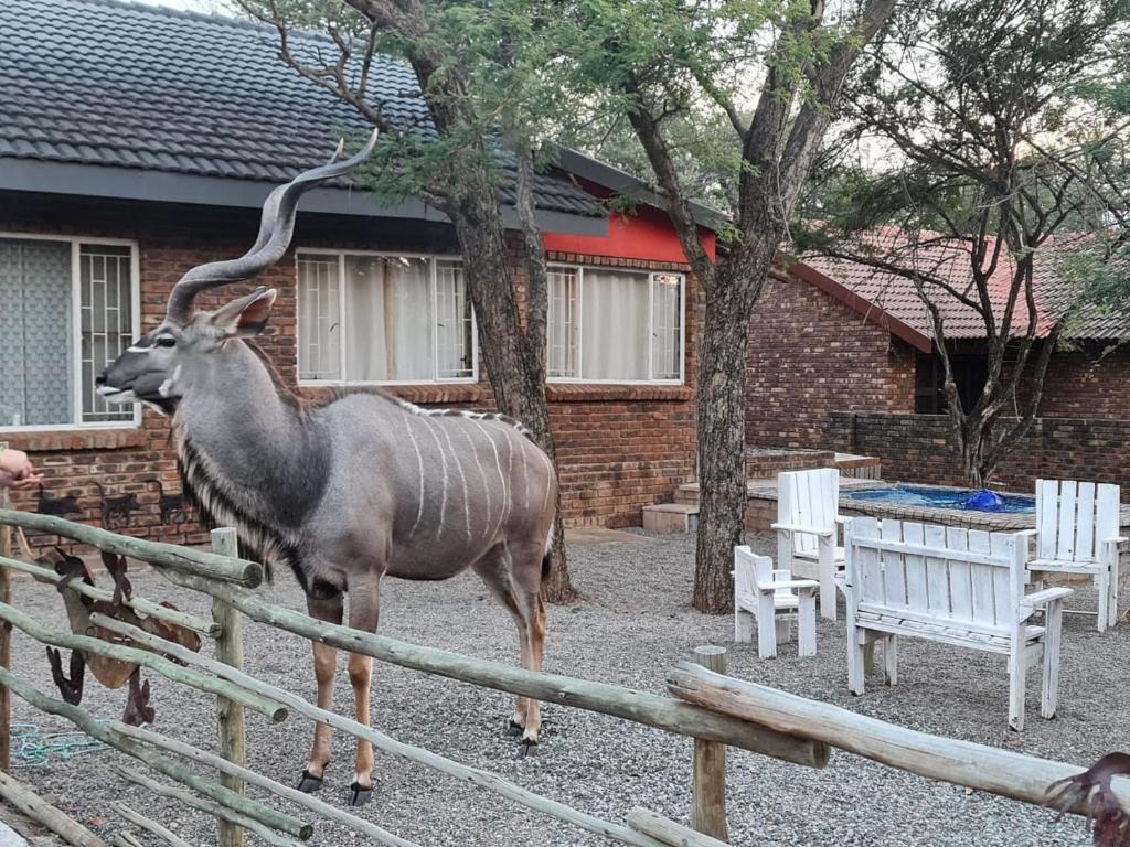 Huisie in die Bos, Leeupoort (precios actualizados 2025)