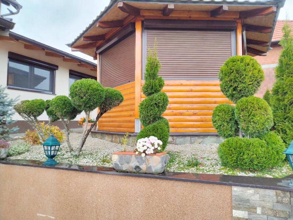 TOROMAN, Ocka Gora (updated prices 2025)