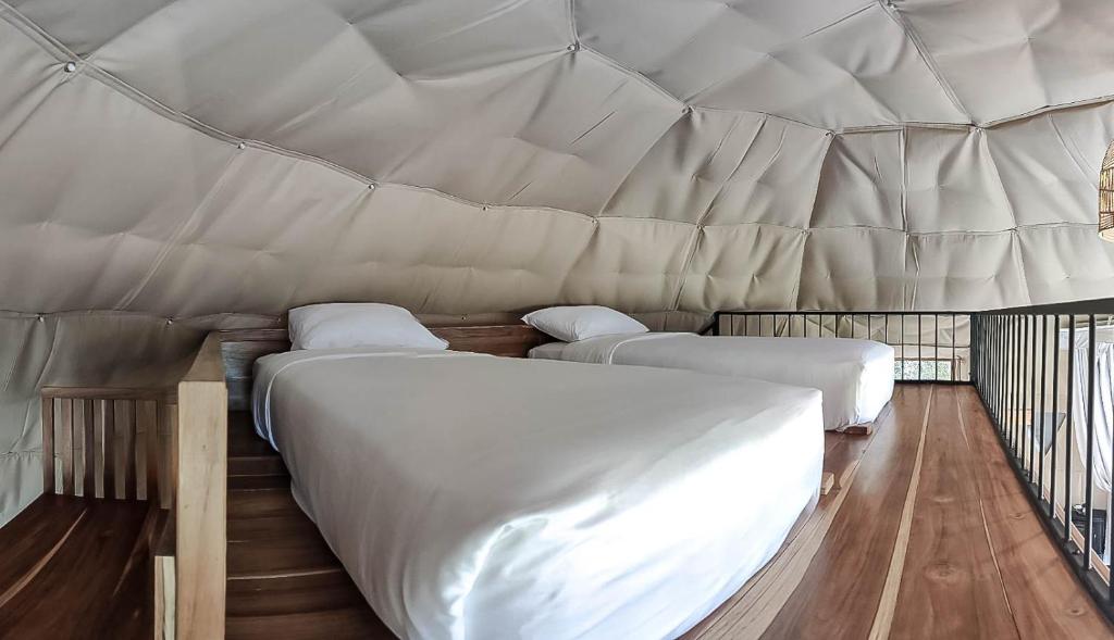 TREE TREK BOQUETE Adventure Park, Boquete – Precios actualizados 2023