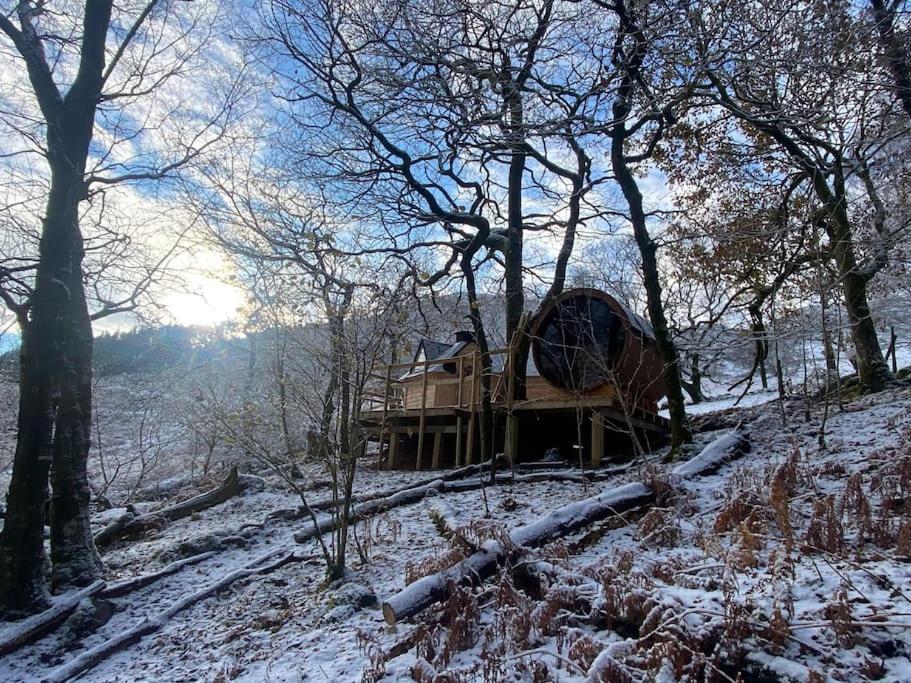 Chestnut Tree House with Hot tub & Sauna i Barmouth – uppdaterade ...