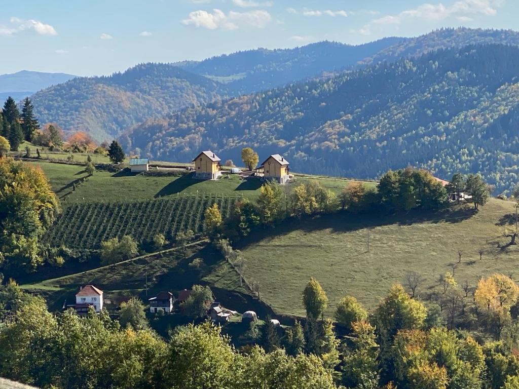 Zlatar Lake Hill, Nova Varoš (updated prices 2026)