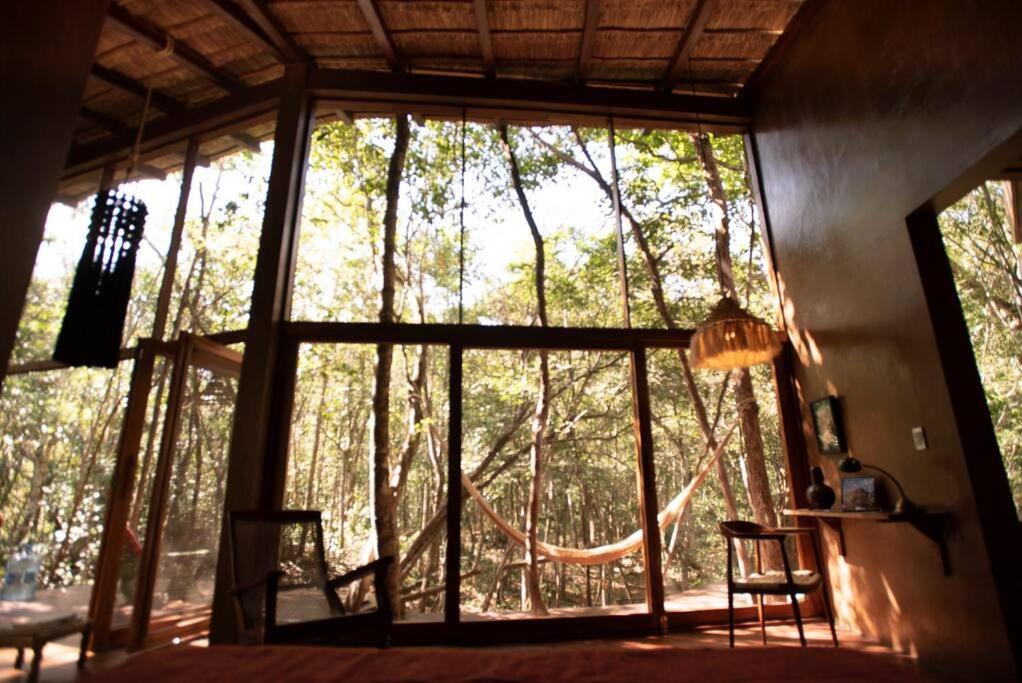 OJO DE AGUA. Design+pool. Vive la auténtica selva!, Tulum (updated ...