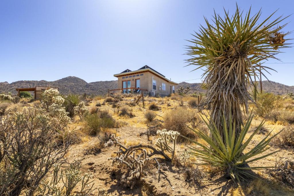 Jensen House - Incredible Desert Views home, Joshua Tree (updated ...