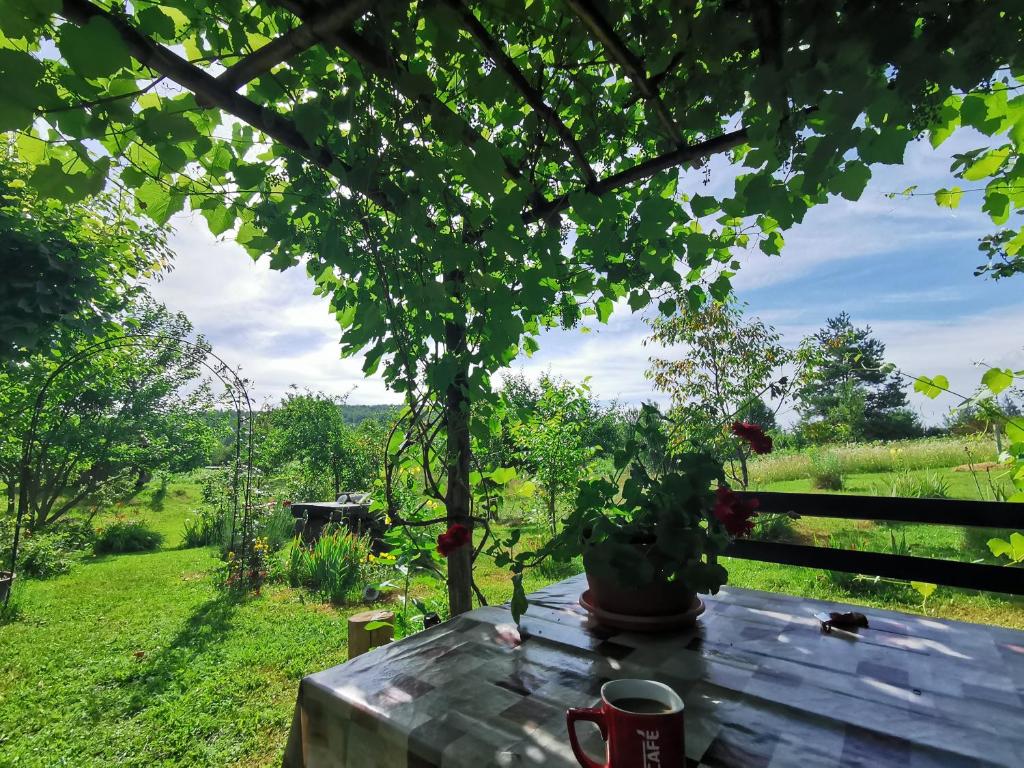 Apartment Manda, Rakovica, Croatia - Booking.com
