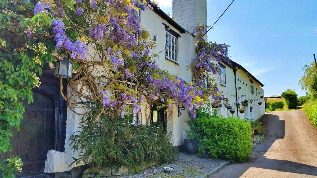 Finest Retreats - The Old Church House Inn, Broadhempston ...