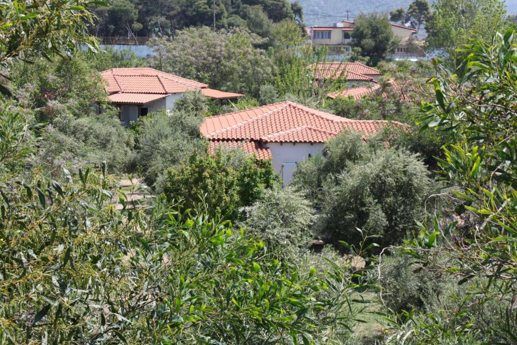 Nikos 4, Kakóvatos (updated prices 2025)