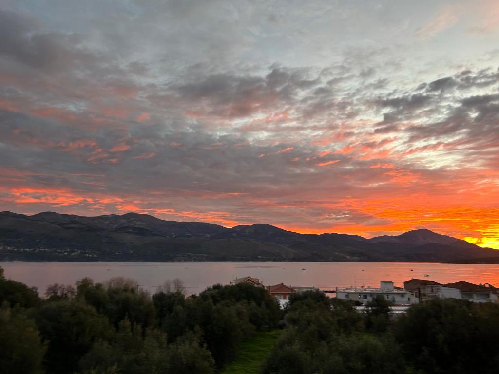 Emelia Apartment, Lixouri (updated prices 2026)