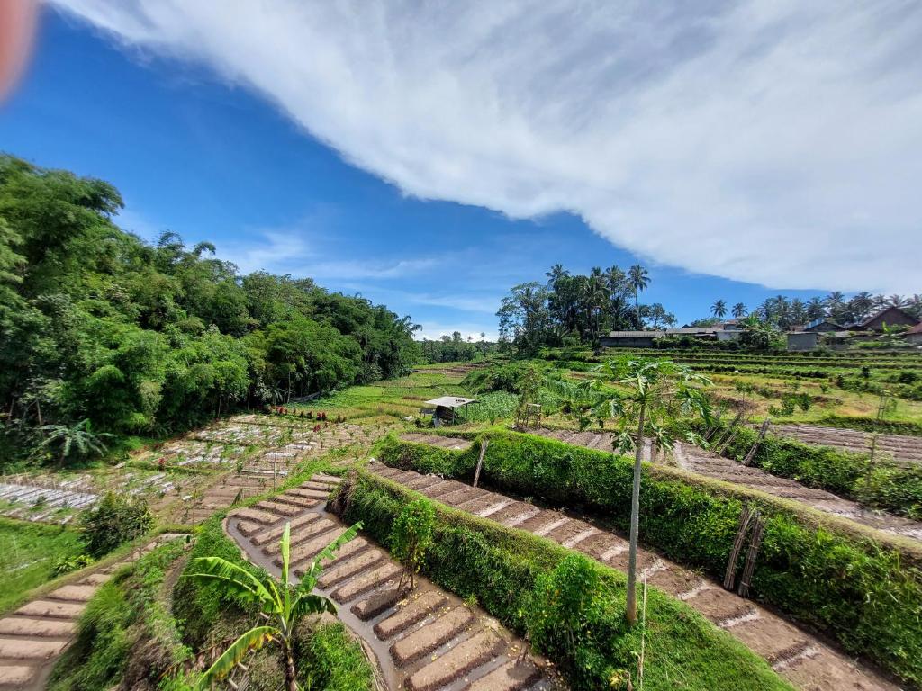 Omah Tepoes, Tokol (preços atualizados para 2025)