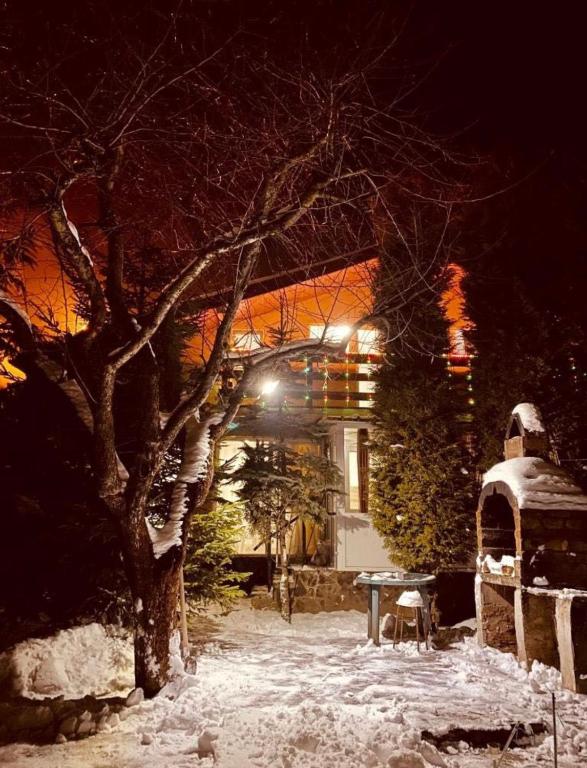 Cabana Busteni, Buşteni (updated prices 2025)