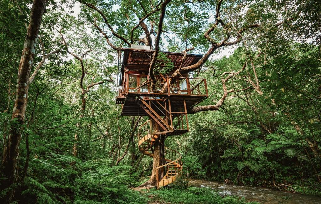Treeful Treehouse Sustainable Resort, Nago (updated prices 2026)