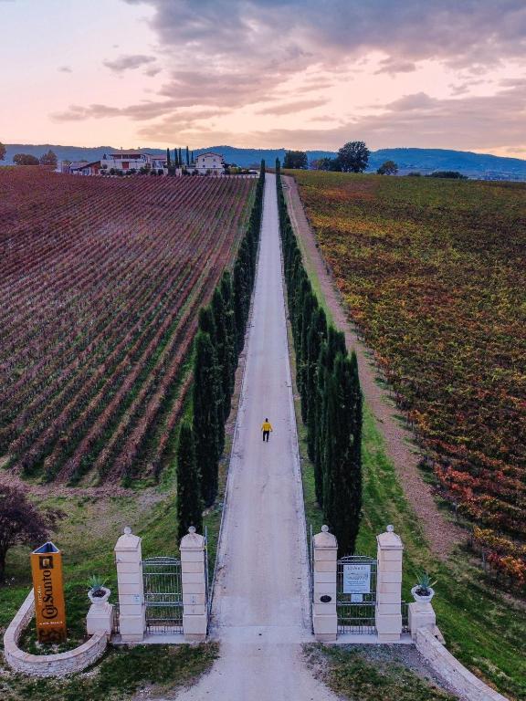 Fattoria Colsanto, Torre del Colle – Aktualisierte Preise für 2023