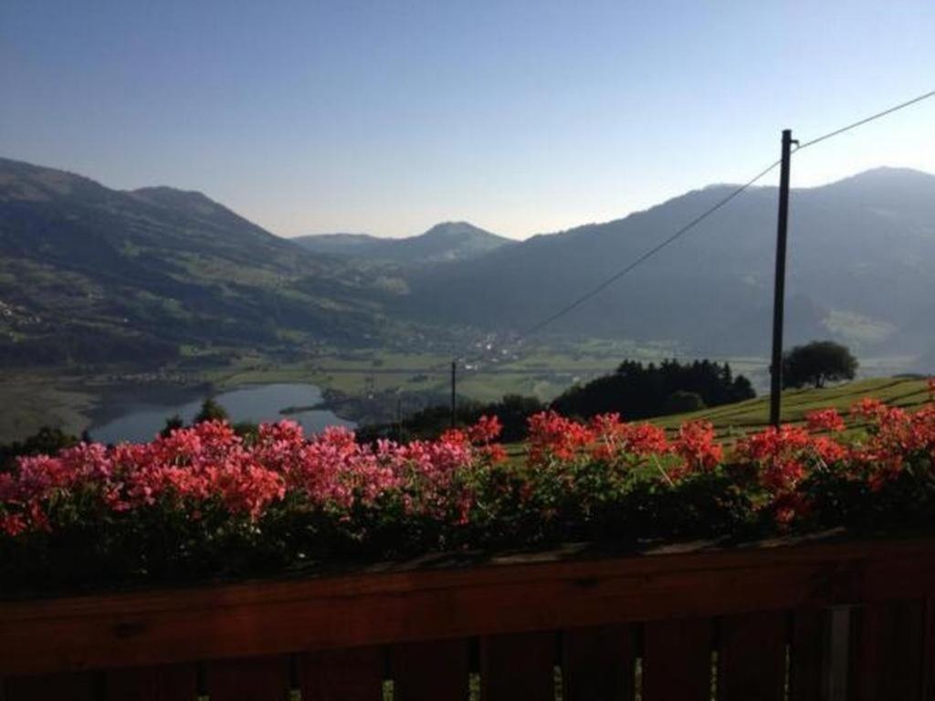 Appartement De Vacances Lauerz Pour 1 - 6 Personnes Avec 2 Chambres à Coucher - Ferme - Suisse