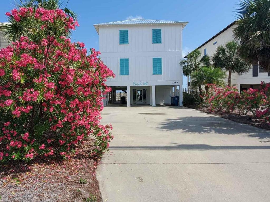 Beach Nut, Gulf Shores (updated prices 2024)