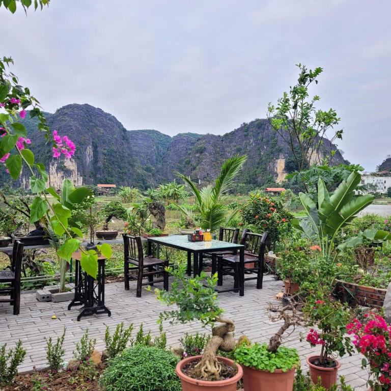 Amazing View Homestay, Ninh Binh (updated prices 2025)