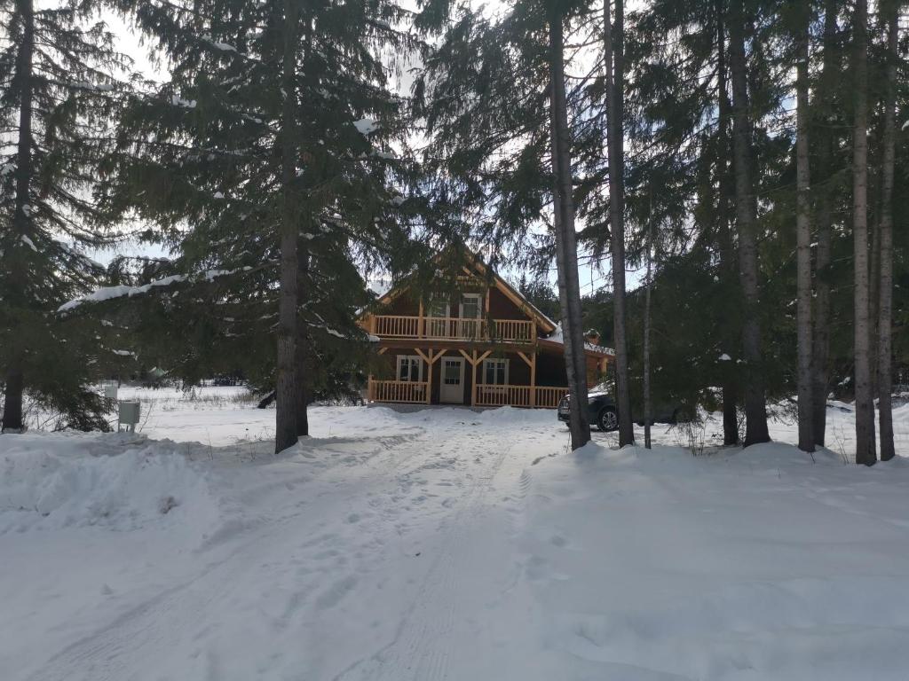 Cabana Katica vendégház 2, Borzont – Updated 2023 Prices