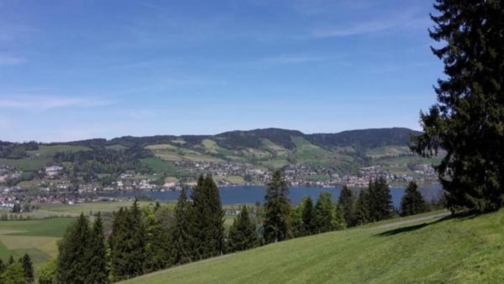 Appartement De Vacances Unterägeri Pour 1 - 5 Personnes Avec 1 Chambre à Coucher - Ferme - Suisse