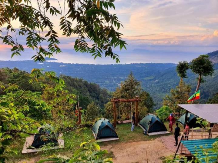 Phulipa Jungle Camp - SuiteTrails