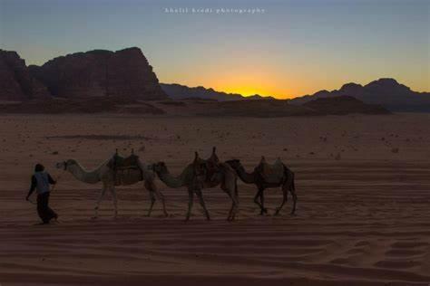 rozaleen camp and tour, Wadi Rum (aktualisierte Preise für 2025)