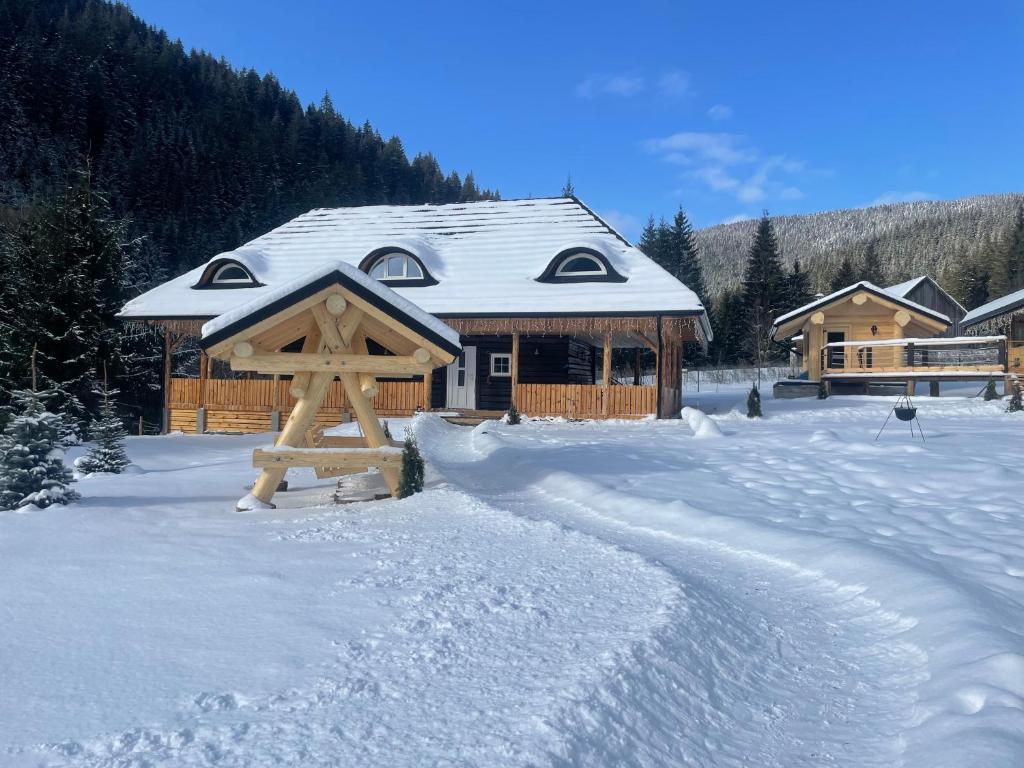 Barlogul Ursului Bilbor, Bilbor (актуальные цены 2026 года)