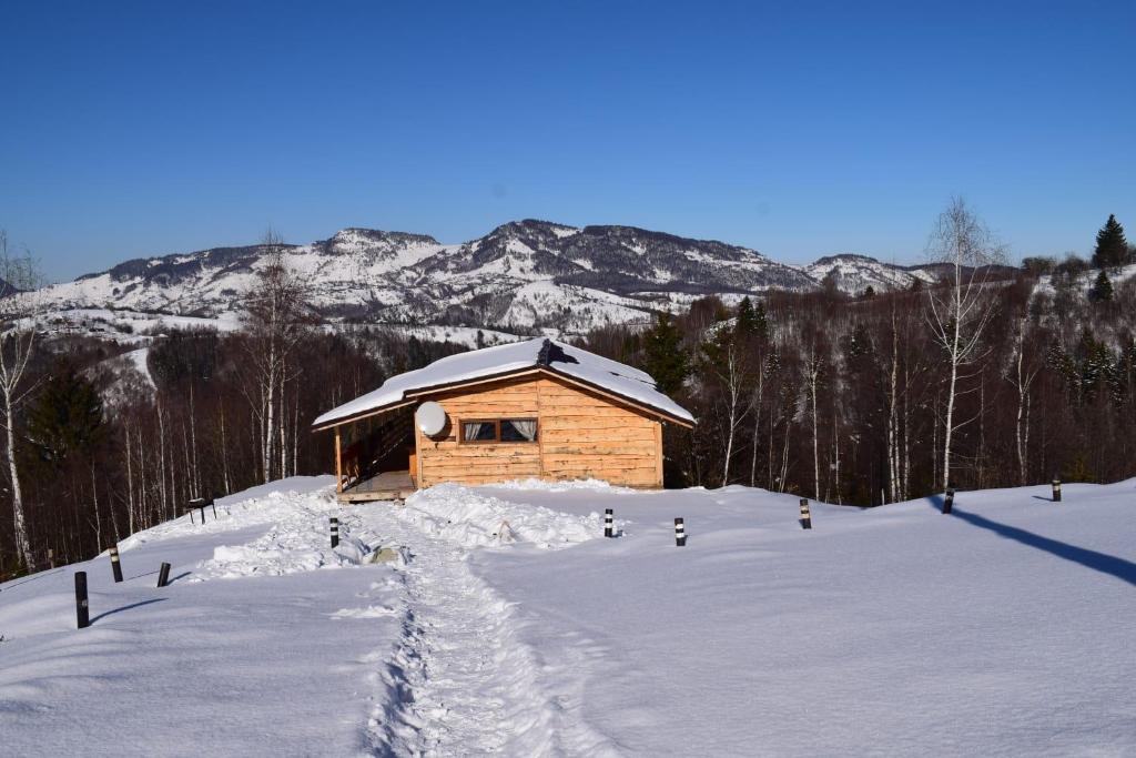 Cabana doi mesteceni, Drumu Carului – Updated 2023 Prices