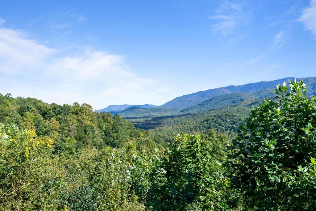 Deer Ridge Mountain Resort A101, Gatlinburg (precios actualizados 2024)