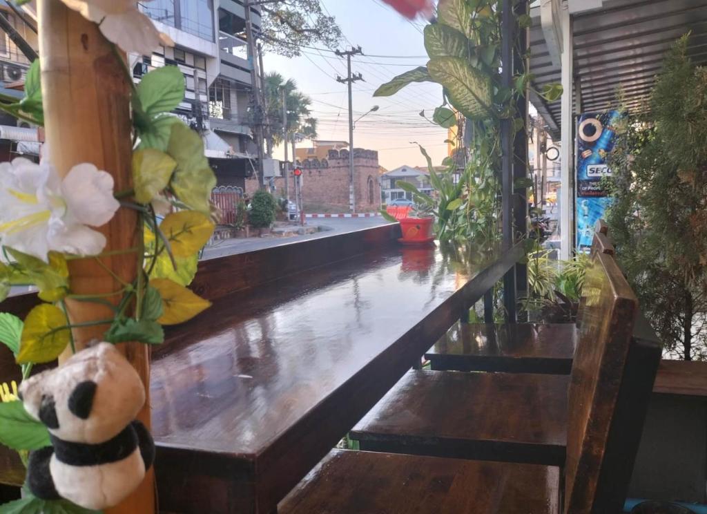 Chiang Mai Panda Hostel - Chiang Mai