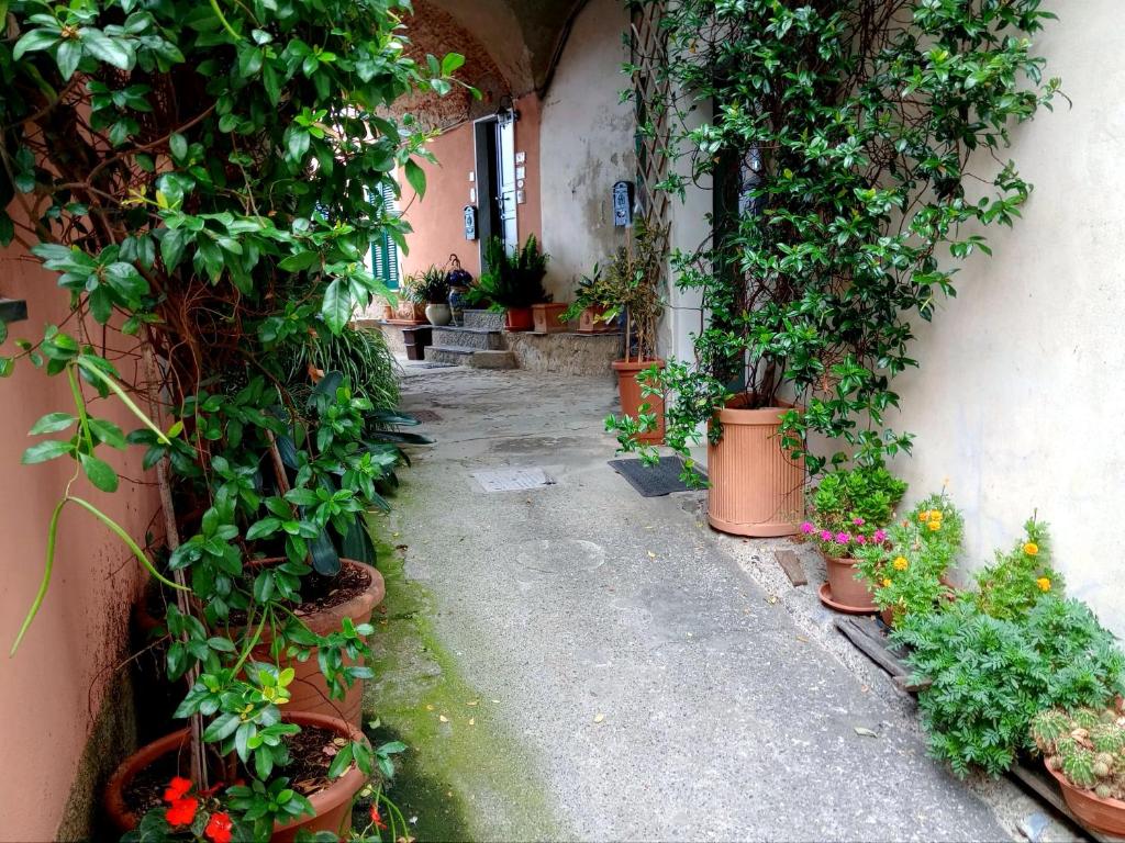 Il Nido delle Rondini, Levanto (precios actualizados 2025)