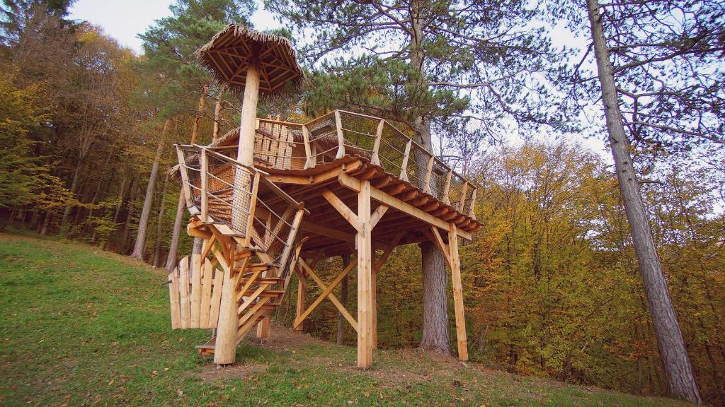 Pine Point, Omšenie – Updated 2023 Prices