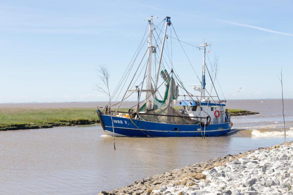 LM7-9 - Ferienwohnung Typ B Komfort, Schottwarden (aktualisierte Preise ...