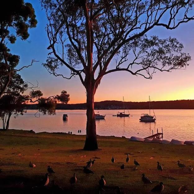 House Beside The Lake, Summerland Point (updated prices 2025)