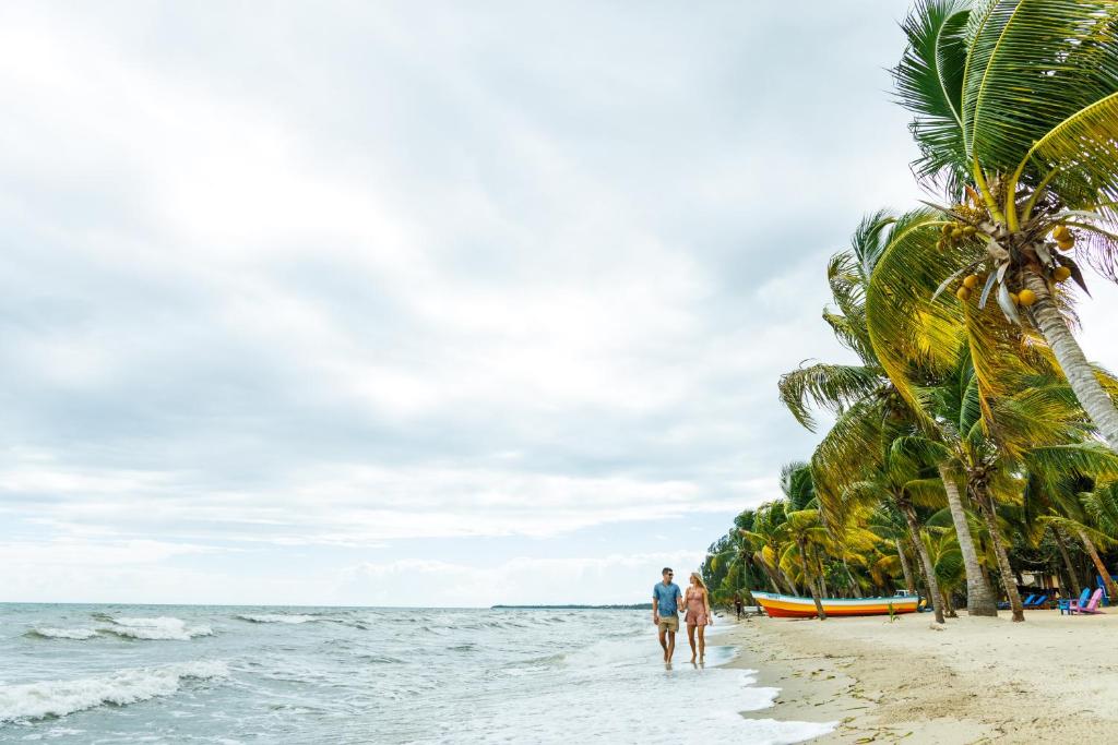 Coconut Row Boutique Hotel, Hopkins (updated prices 2025)