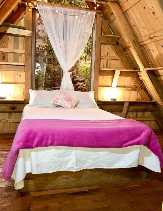 Casa Del Bosque, Calima (updated prices 2025)