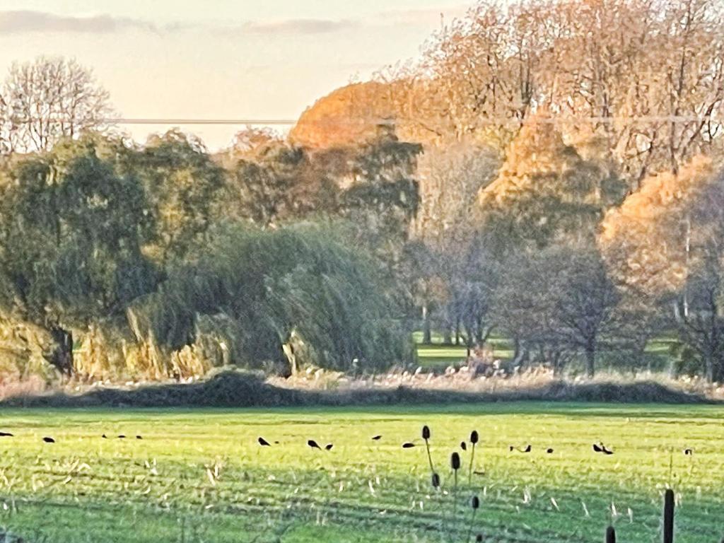 Loch Farm Stables, Watton – Updated 2023 Prices