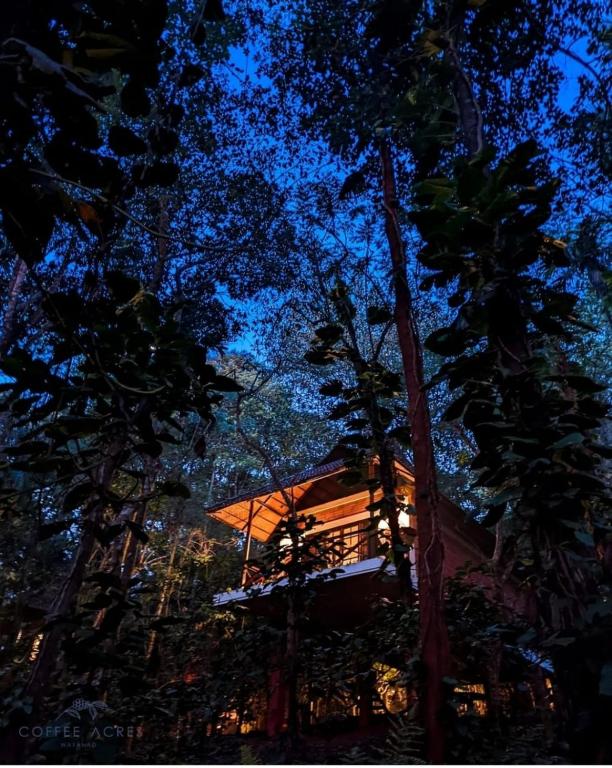 Coffee Acres Resort, Kalpetta (updated prices 2025)