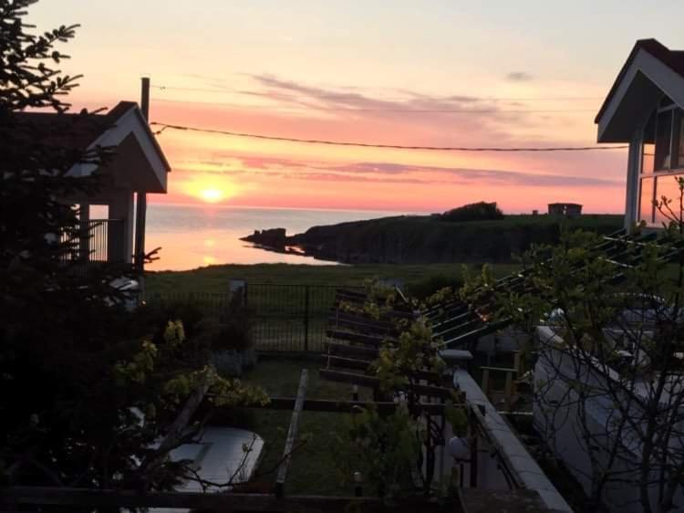 Морска Роза, Sinemorets (updated prices 2025)