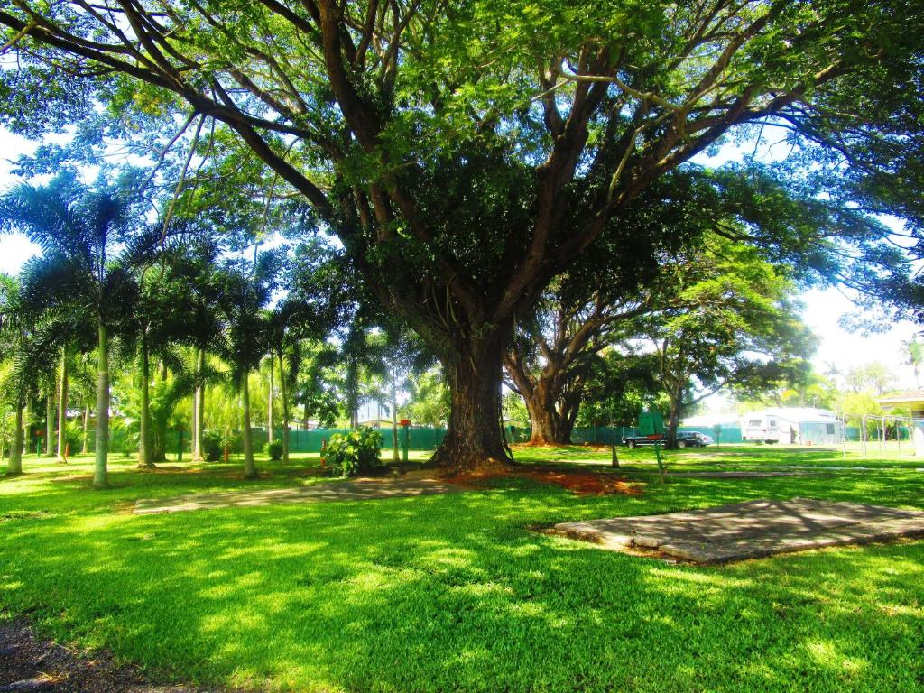 First City Caravilla, Cairns (updated prices 2025)