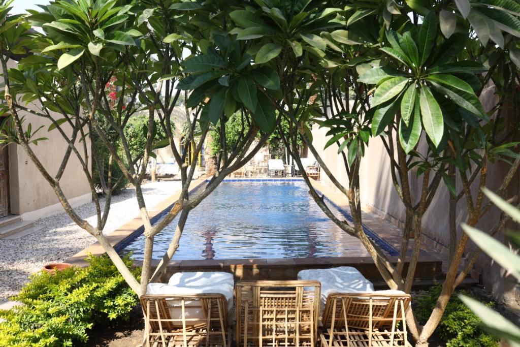 Merit Amon House, Luxor (updated prices 2024)