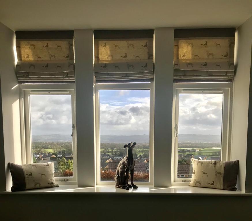 The Dog Inn, Longridge (updated prices 2024)