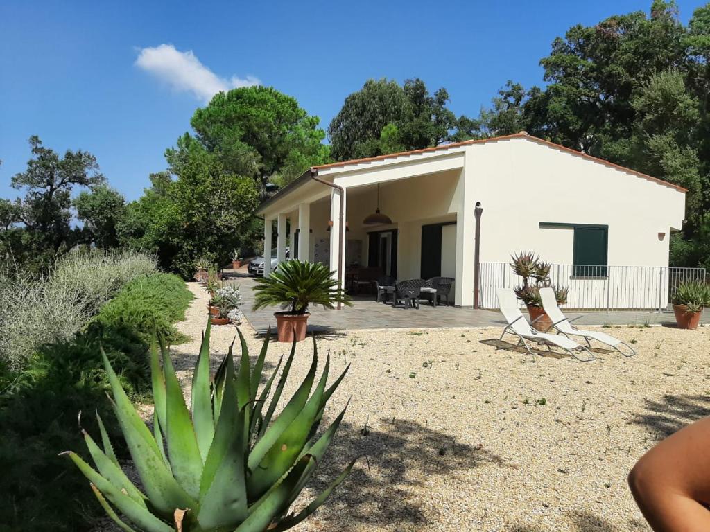 Villa Geko A Punta Perla - Portoferraio