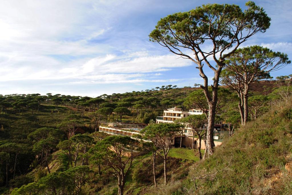 Pineland Hotel and Health Resort, Ḩammānā (updated prices 2025)