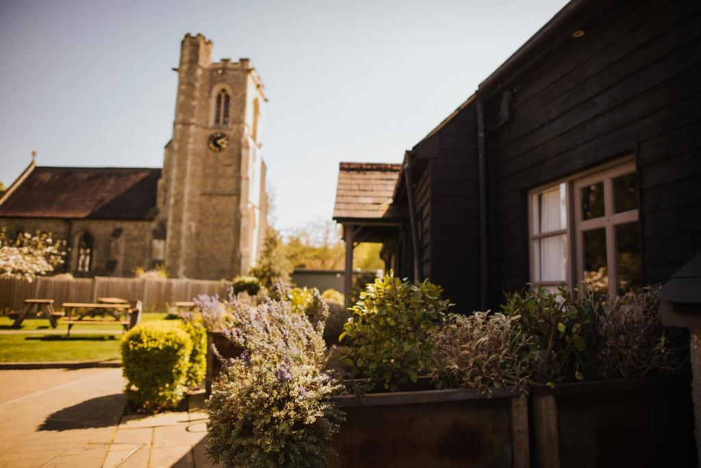 The Fox at Willian, Letchworth (updated prices 2025)