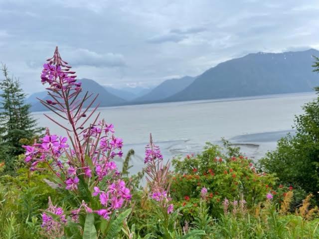 Alaska Lake + Lodge at Longmere, Soldotna – Updated 2023 Prices