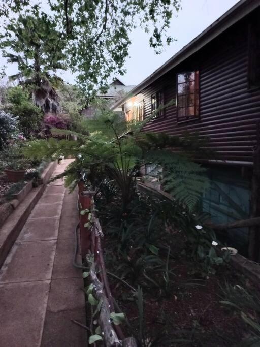 The Big tree @ Sabie, Sabie (updated prices 2024)