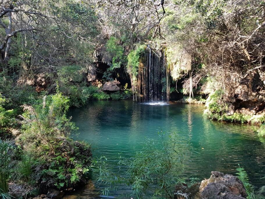 The Big tree @ Sabie, Sabie – ceny aktualizovány 2023