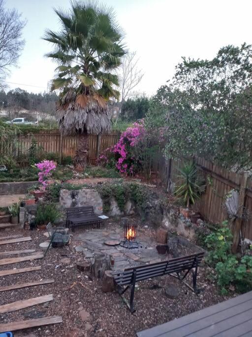 The Big tree @ Sabie, Sabie – Tarifs 2023