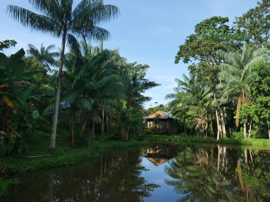 Cabañas Dechi - Puerto nariño
