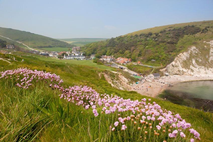 Riverside Flowers Wimborne | Best Flower Site